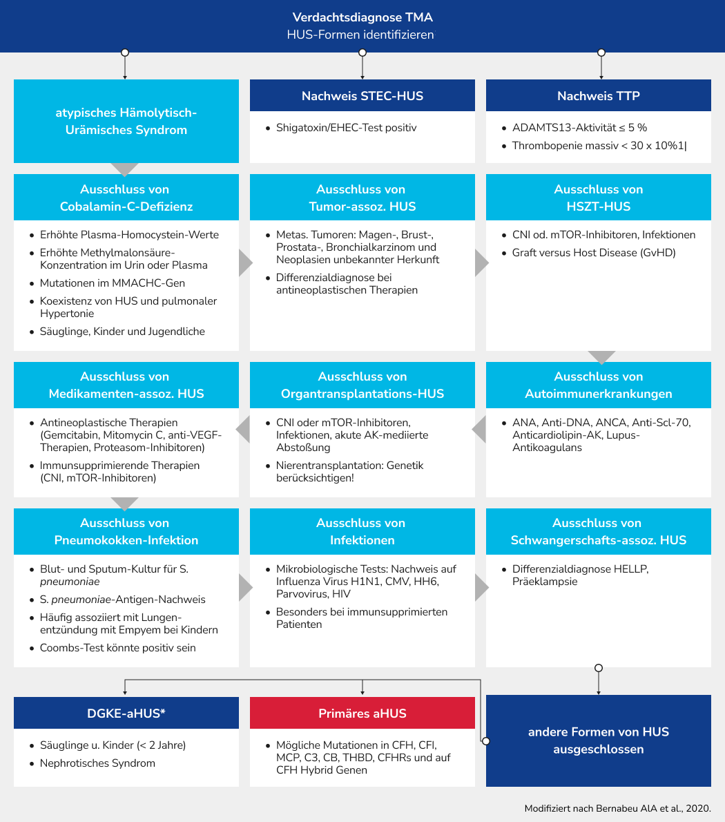 TMA & HUS erkennen: aHUS, STEC-HUS, TTP